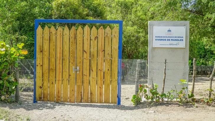 Mangrovenbaumschule im Nigua Schutzgebiet wiederhergestellt – Dom.Rep ...